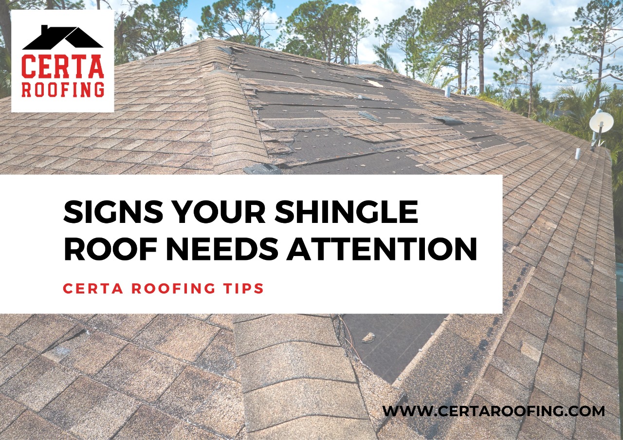 Signs Your Shingle Roof Needs Attention - Certa Roofing